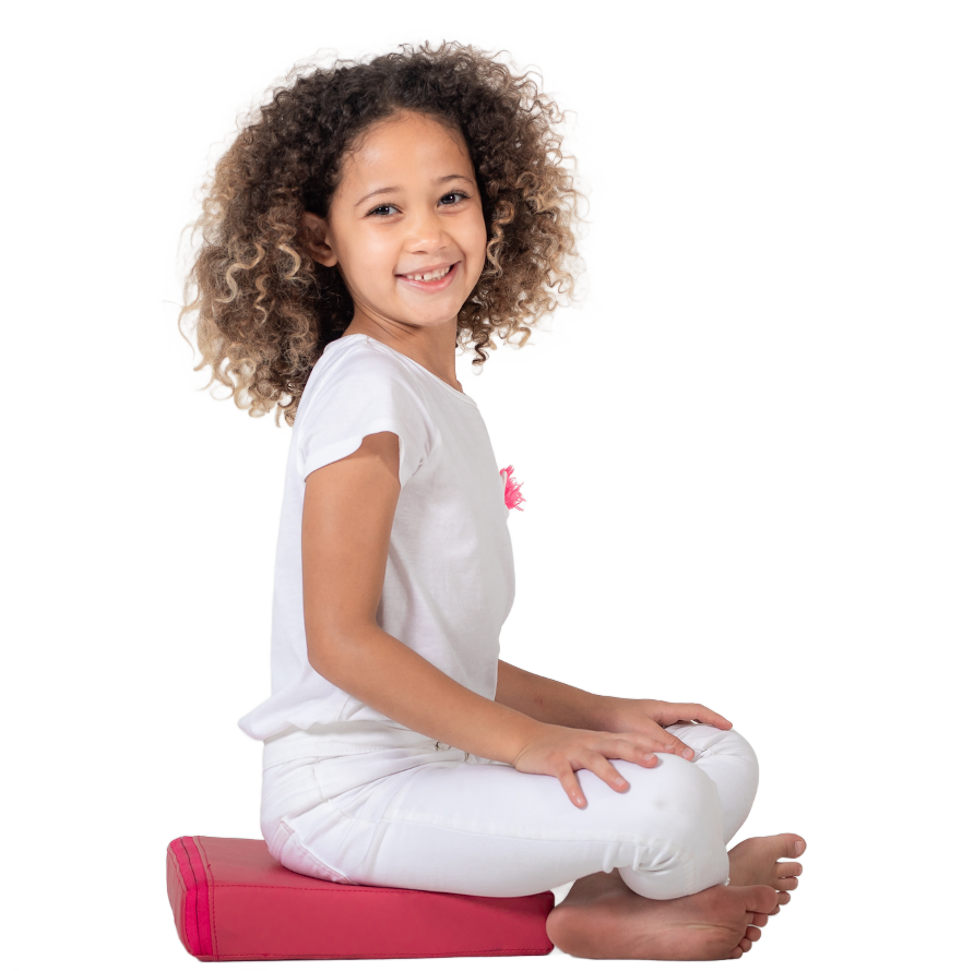 Posture Wedge – PlayOn